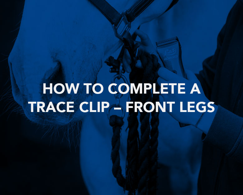 How to Complete a Trace Clip – Front Legs | Lister Shearing